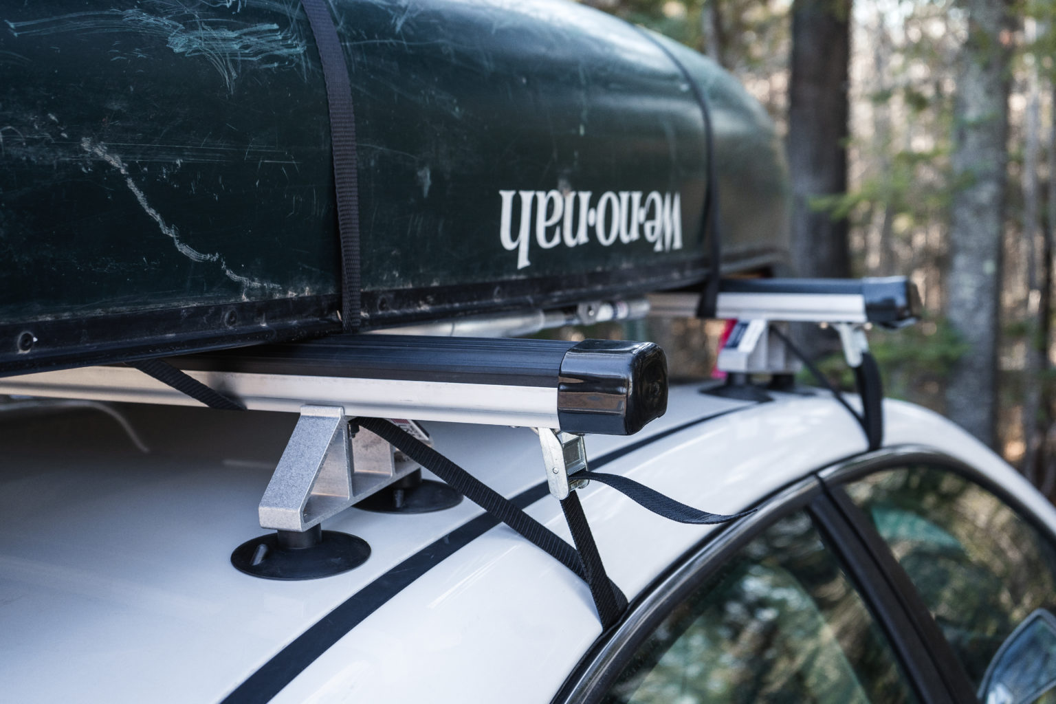 Suction Cup Rack - Spring Creek