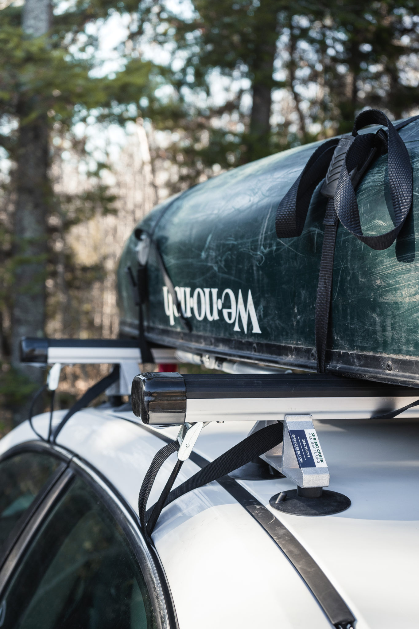 Suction Cup Rack - Spring Creek