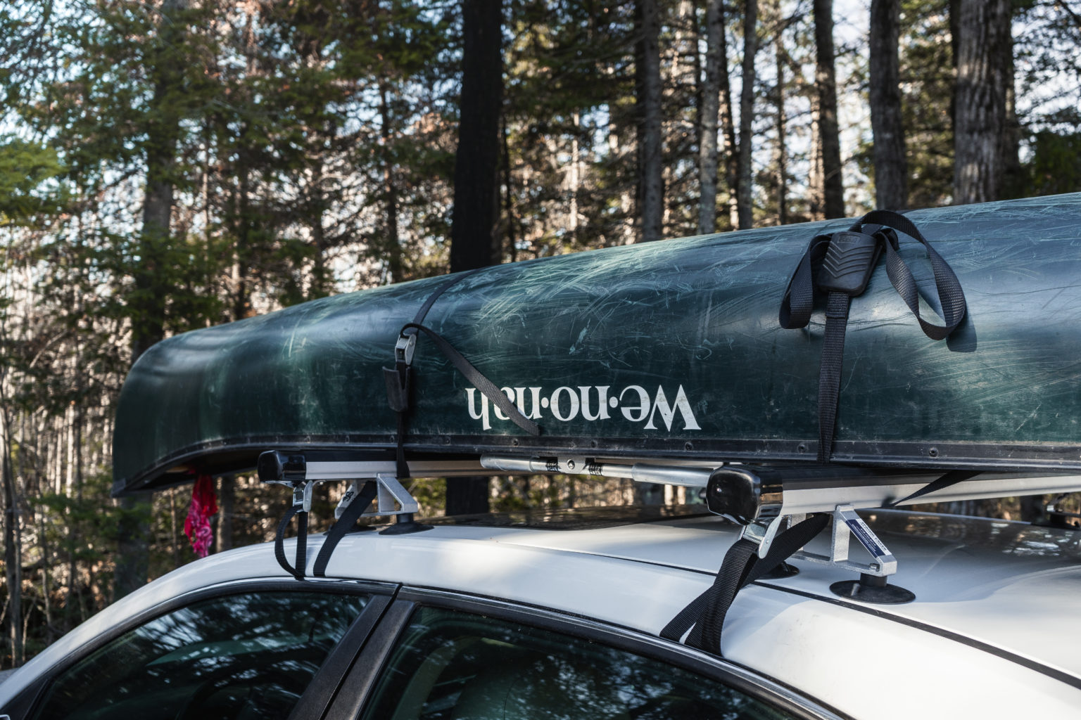 Suction Cup Rack - Spring Creek