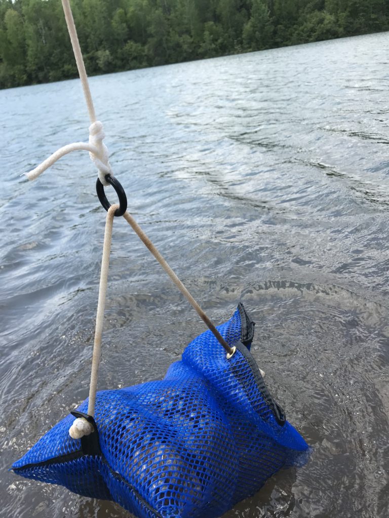 Anchor Bag - Spring Creek